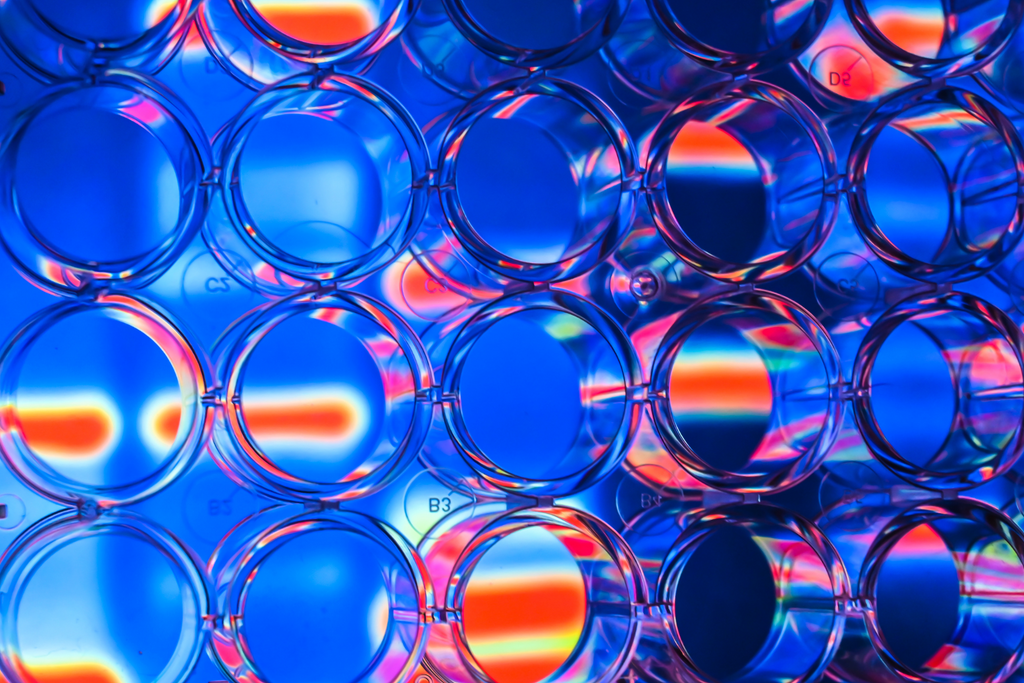 Space Omics - the frontier technology - ICE Cubes